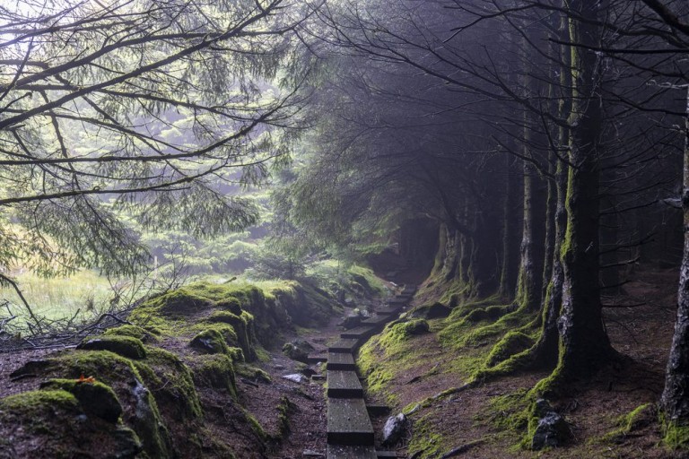10 Top Things to do in Wicklow: Plan 1 Perfect Day in Ireland's Wicklow ...